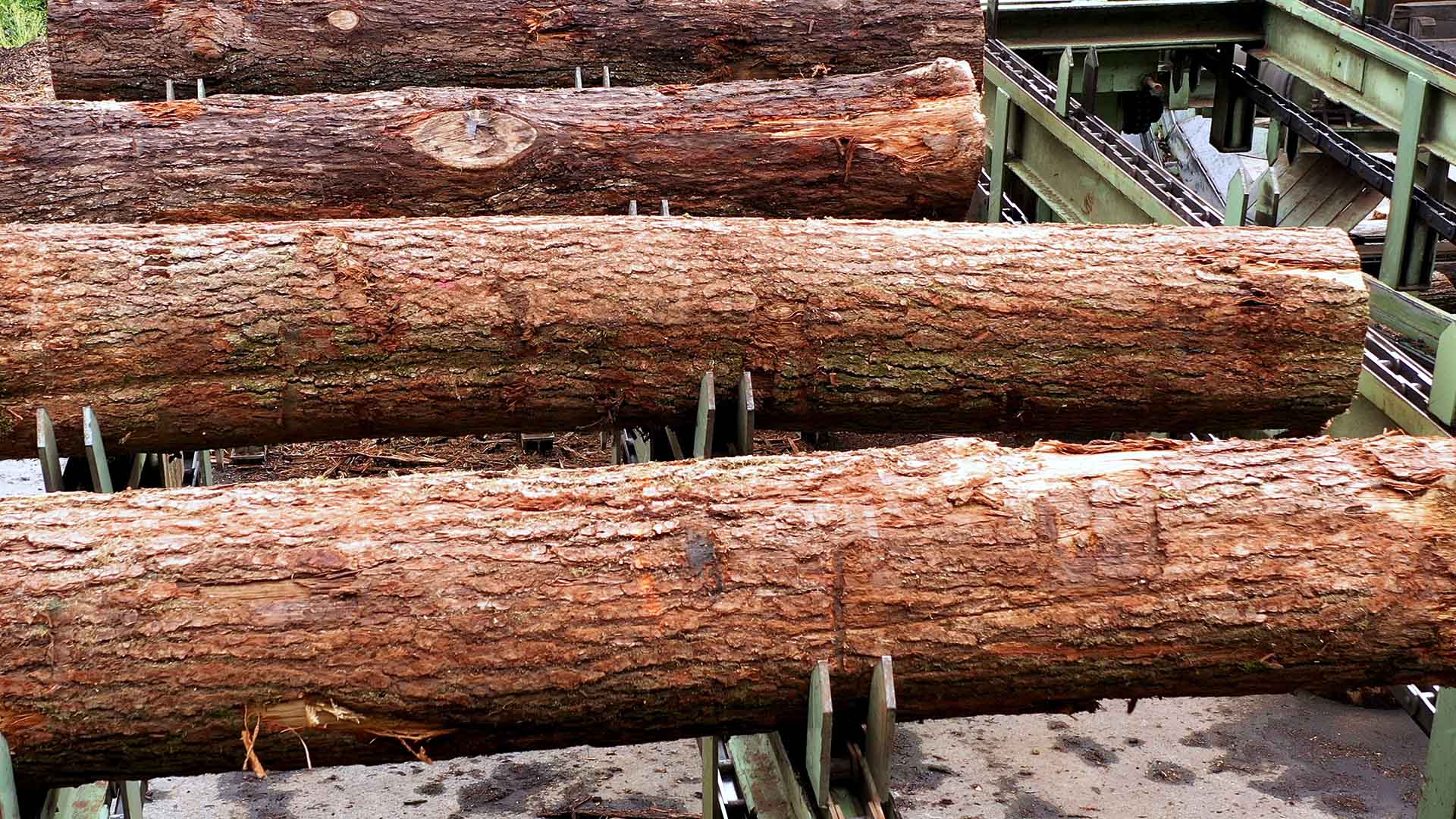 Hauptprodukte - SÄGEWERK ENDERS GMBH & CO.KG